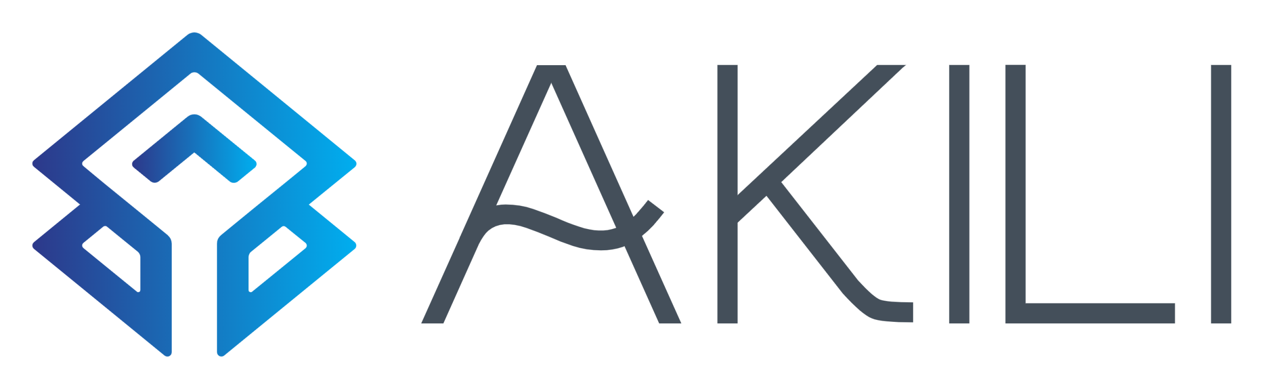 Strategy | Akili Consulting
